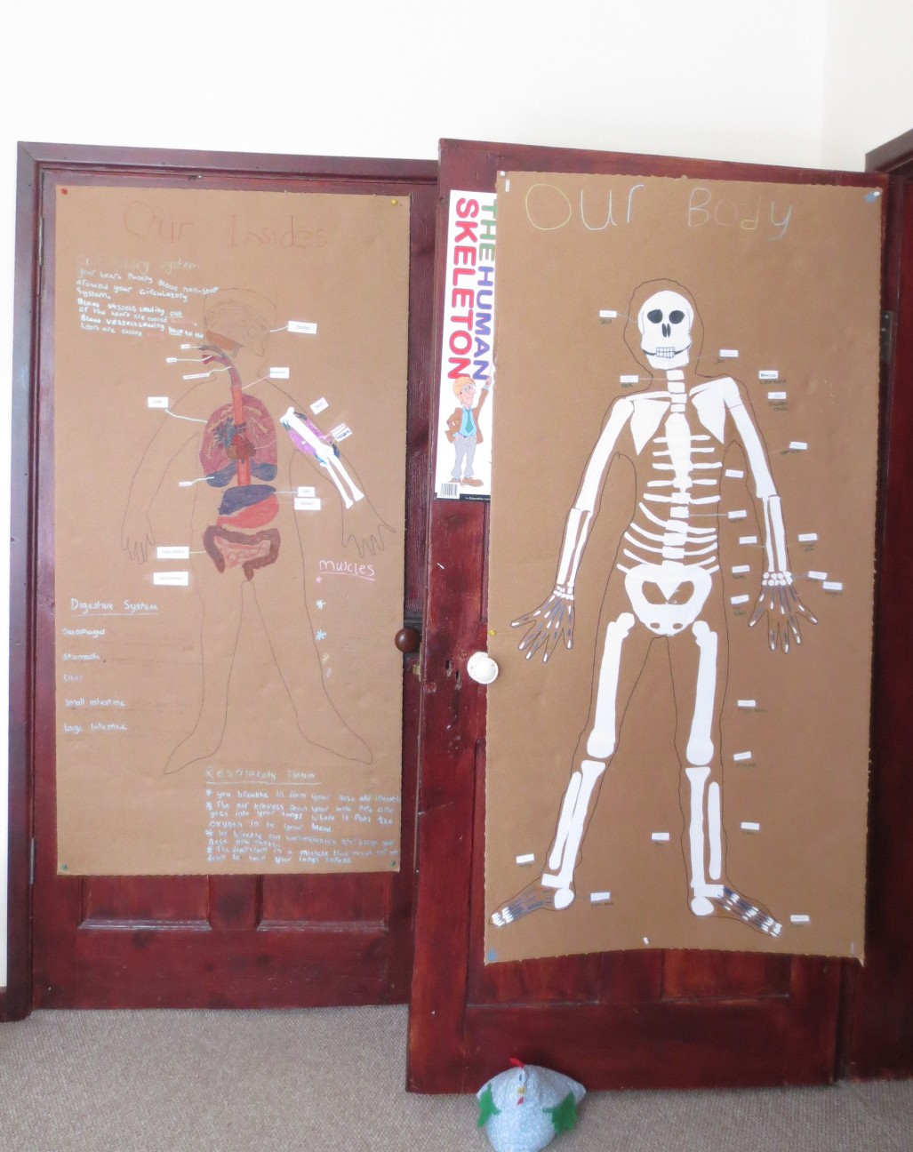 Human Body – Our Insides – Home School Journal